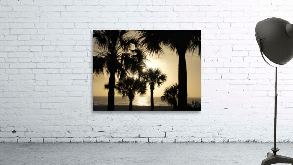 Palm Trees Silhouette by Earthshine Emporium Wall Art