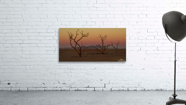 Namibian Sunset Trees by David Northall Wall Art