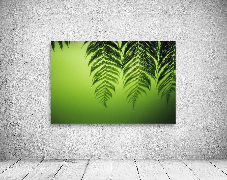 Hawaii, Lanai, Tree Ferns On Green Background. by PacificStock Wall Art