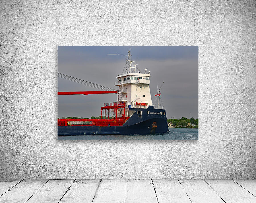Symphony Star Detail 052521 by Mary Bedy Wall Art