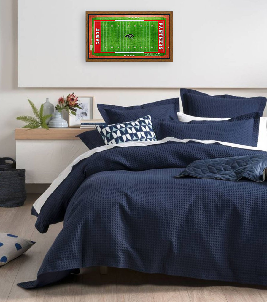 Cabot, AR | Panther Football Field by Provision UAS Wall Art