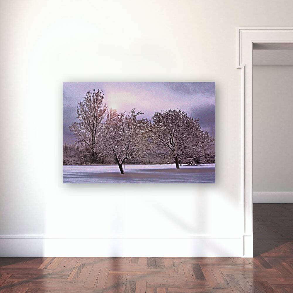 January Trees crop 2 version 1 Original size by PIXquisate Wall Art