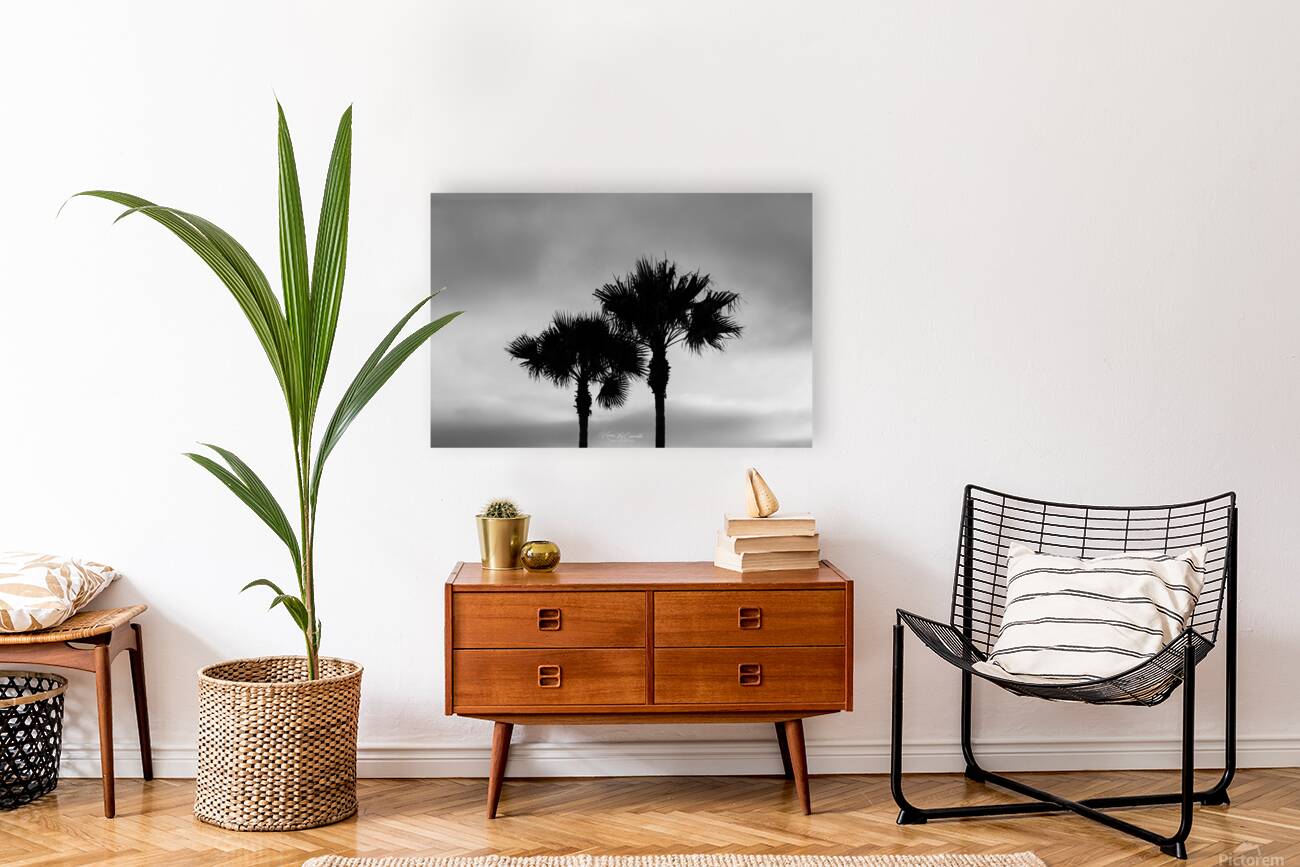 Palm trees the original hipsters by Kevin McCarville Wall Art