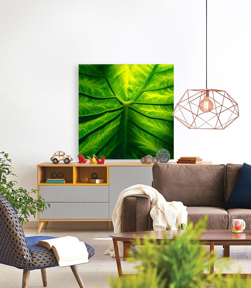 Hidden Beauty - Underneath an Intricate Giant Tropical Leaf by GeorgiaM ...