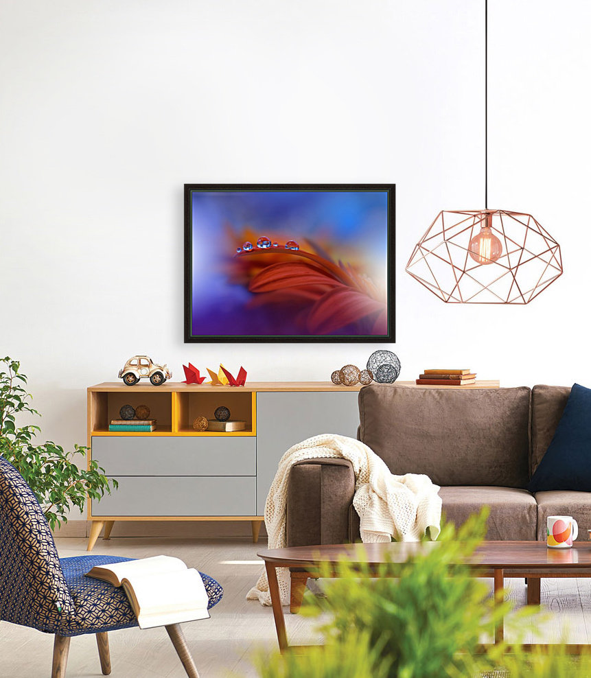 Metamorphosis by Juliana Nan par 1x