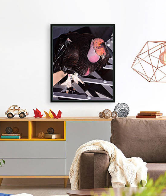 Mike Ross - // Art Collection